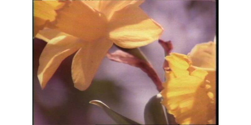 Megan Whitmarsh at DePaul Art Museum - Over the Influence